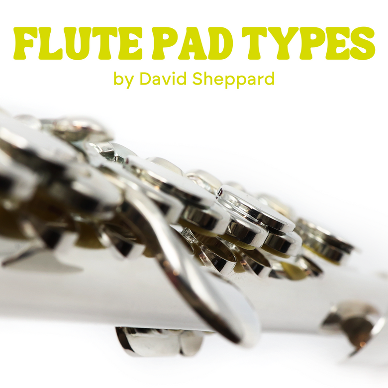 The Best Flute Solos in Popular Music - Our Top 10 – Flute Center