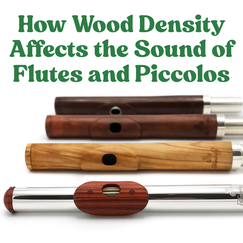 The Best Flute Solos in Popular Music - Our Top 10 – Flute Center