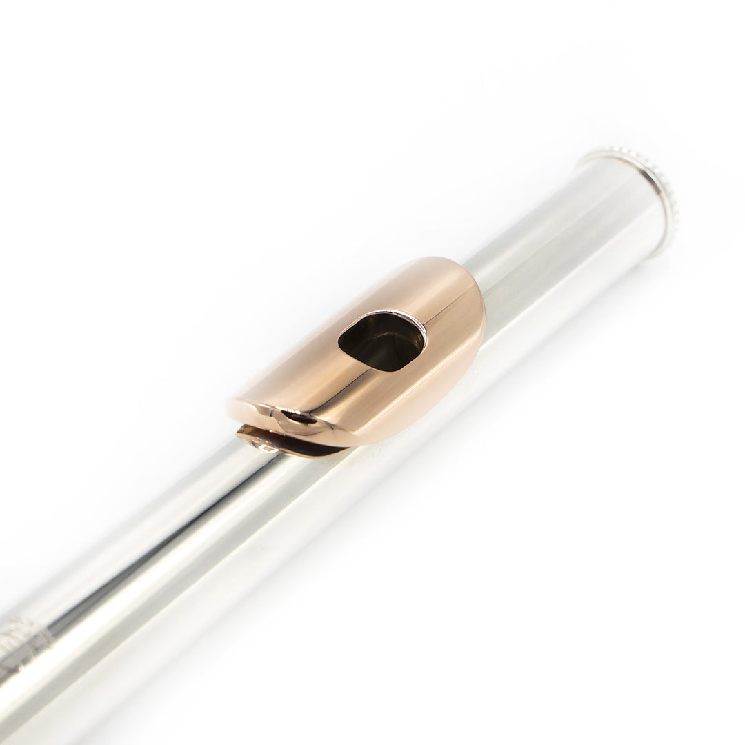 William S. Haynes Handmade Custom Flute in 14K Gold - New – Flute Center
