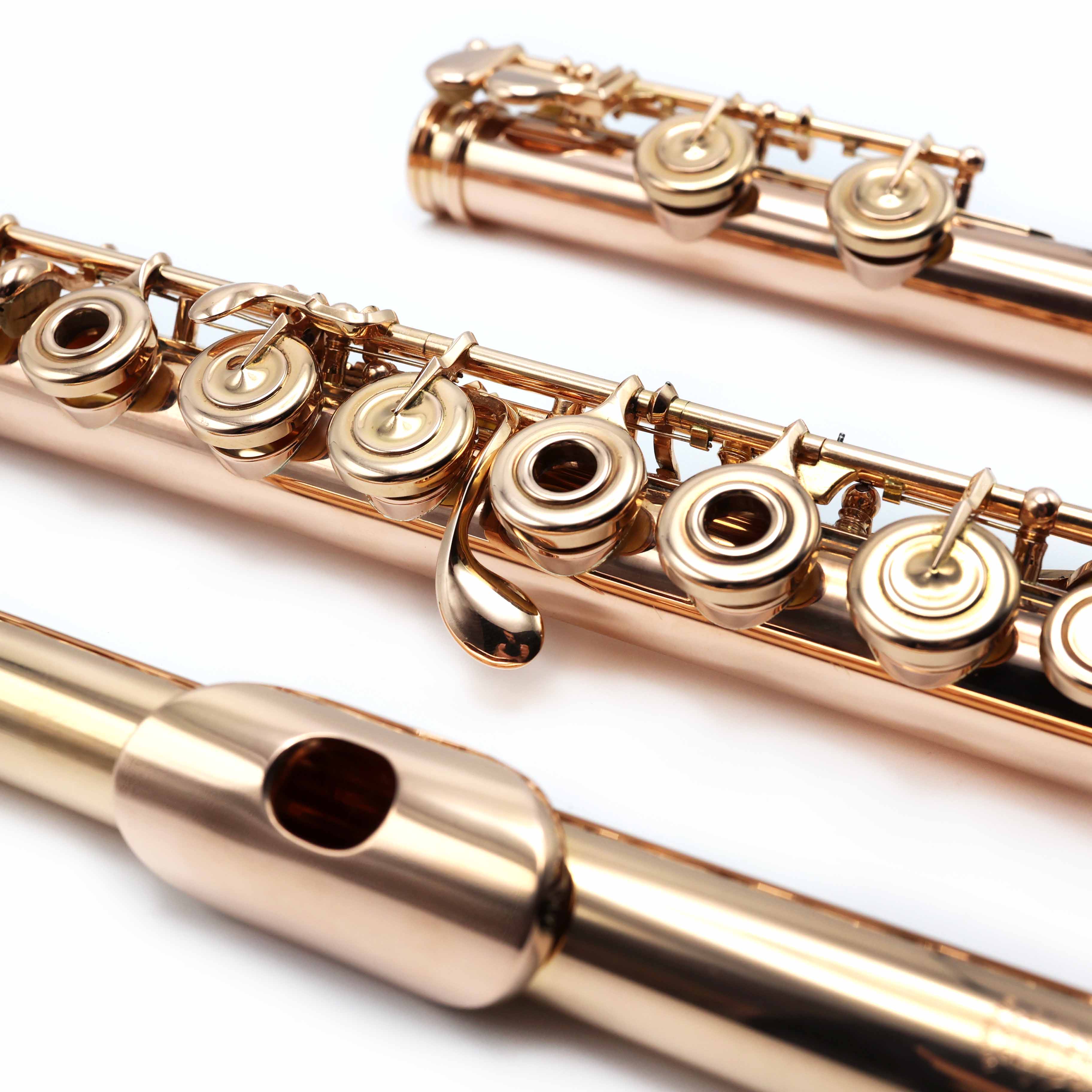 Haynes Custom #51210 - 14K Gold flute, inline G, C footjoint – Flute Center